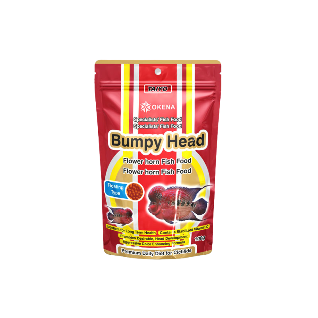 Food Taiyo Bumpy Head 100g – cloningaquapets