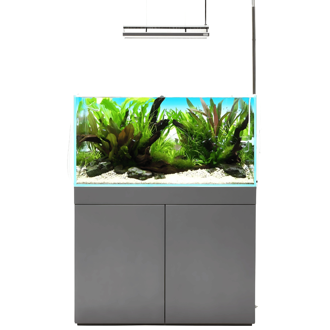 2-Foot Ultra-Clear Open Aquarium Tank | 80x40x40 cm | 8mm – cloningaquapets