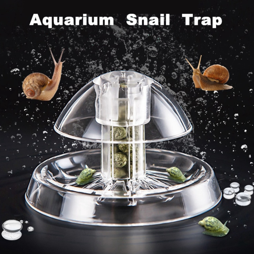 Aquarium Snail Trap | Chemical-Free Pest Snail Removal Tool ...