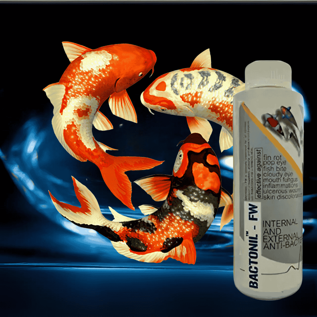 Medicine Aquatic Remedies Bactonil FW – cloningaquapets