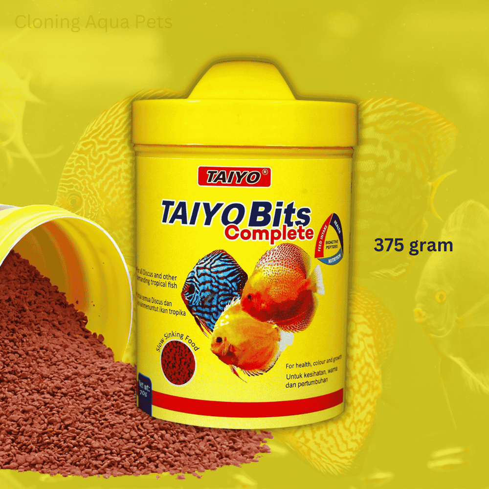 Taiyo – cloningaquapets
