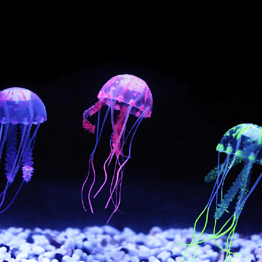 Artificial Silicon Jelly Toy – cloningaquapets