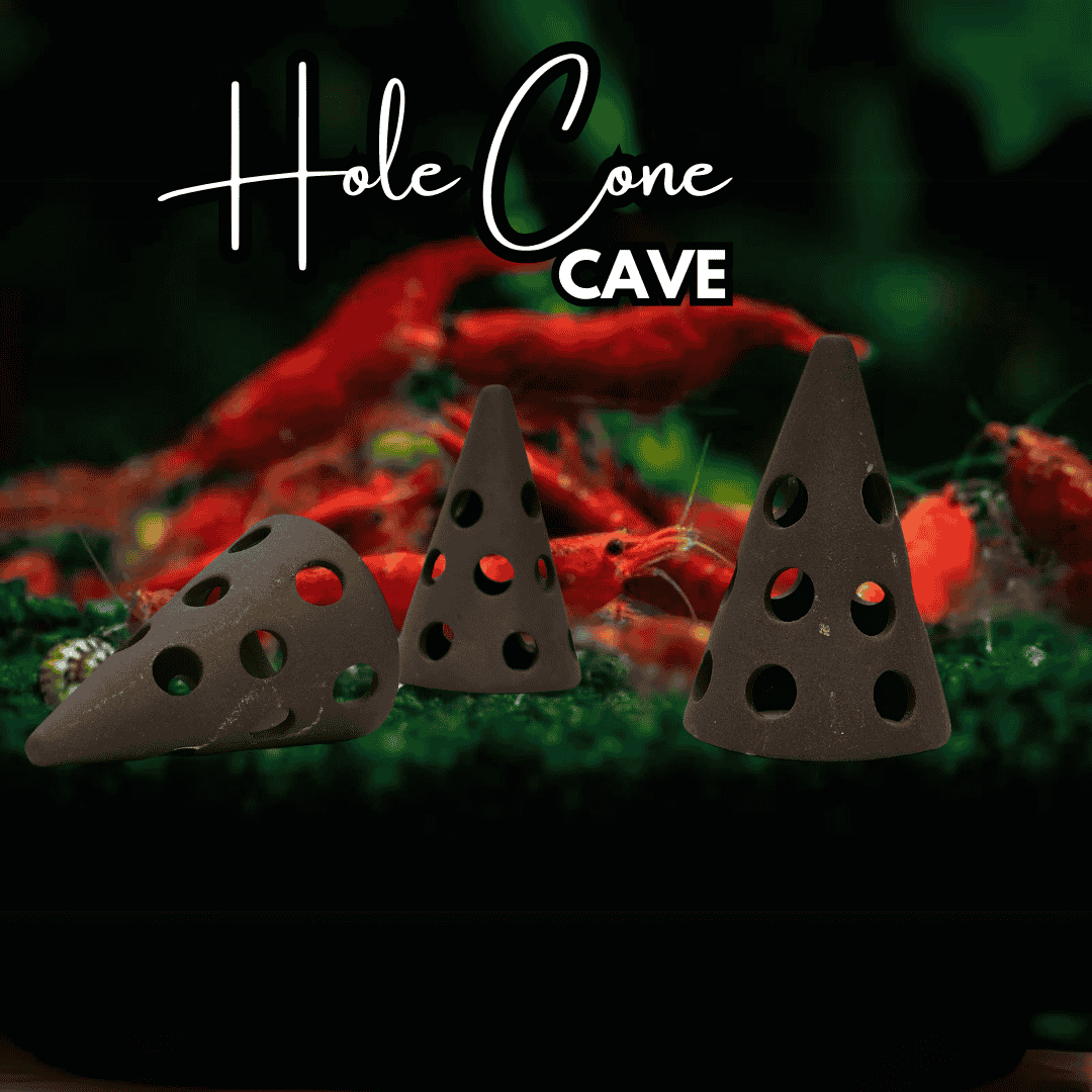 Japanese Clay | Hole Cone Cave Clay | Single – cloningaquapets