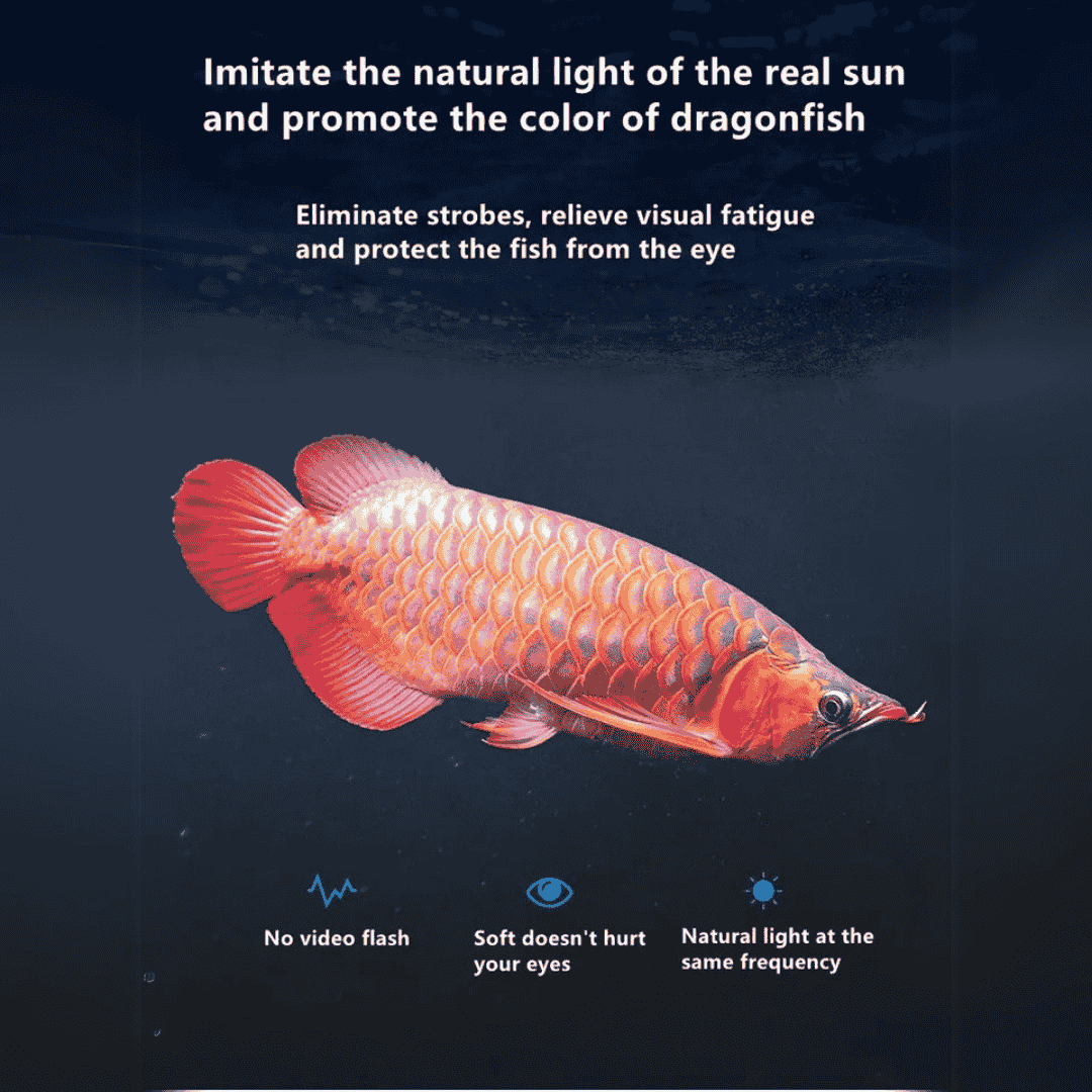 Neo Helios ST-720 Solar Mini Color Booster 25W – cloningaquapets