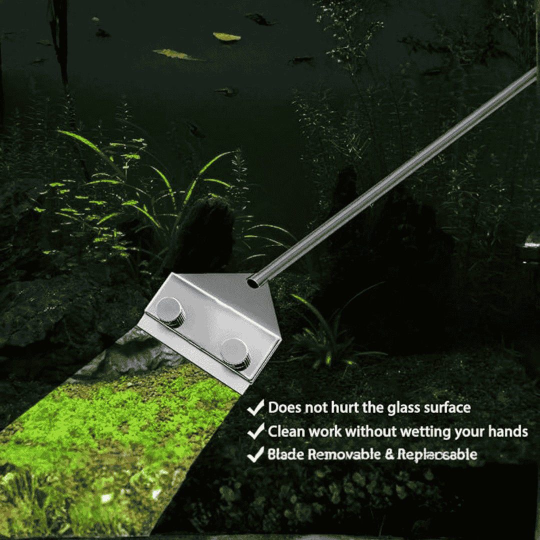 Chents Aluminum Alloy Aquatic Plant Scraper – cloningaquapets