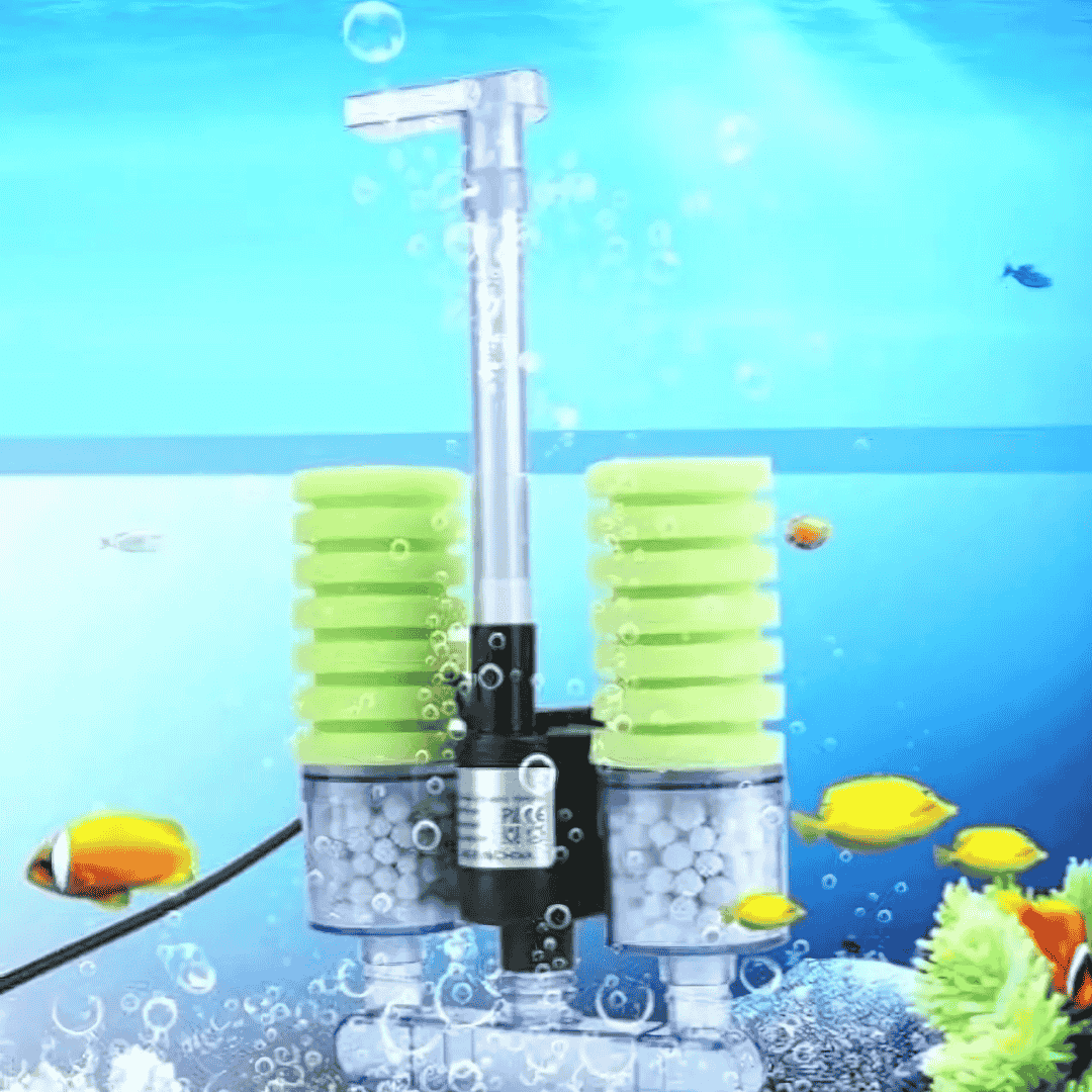 Sponge Filter – cloningaquapets