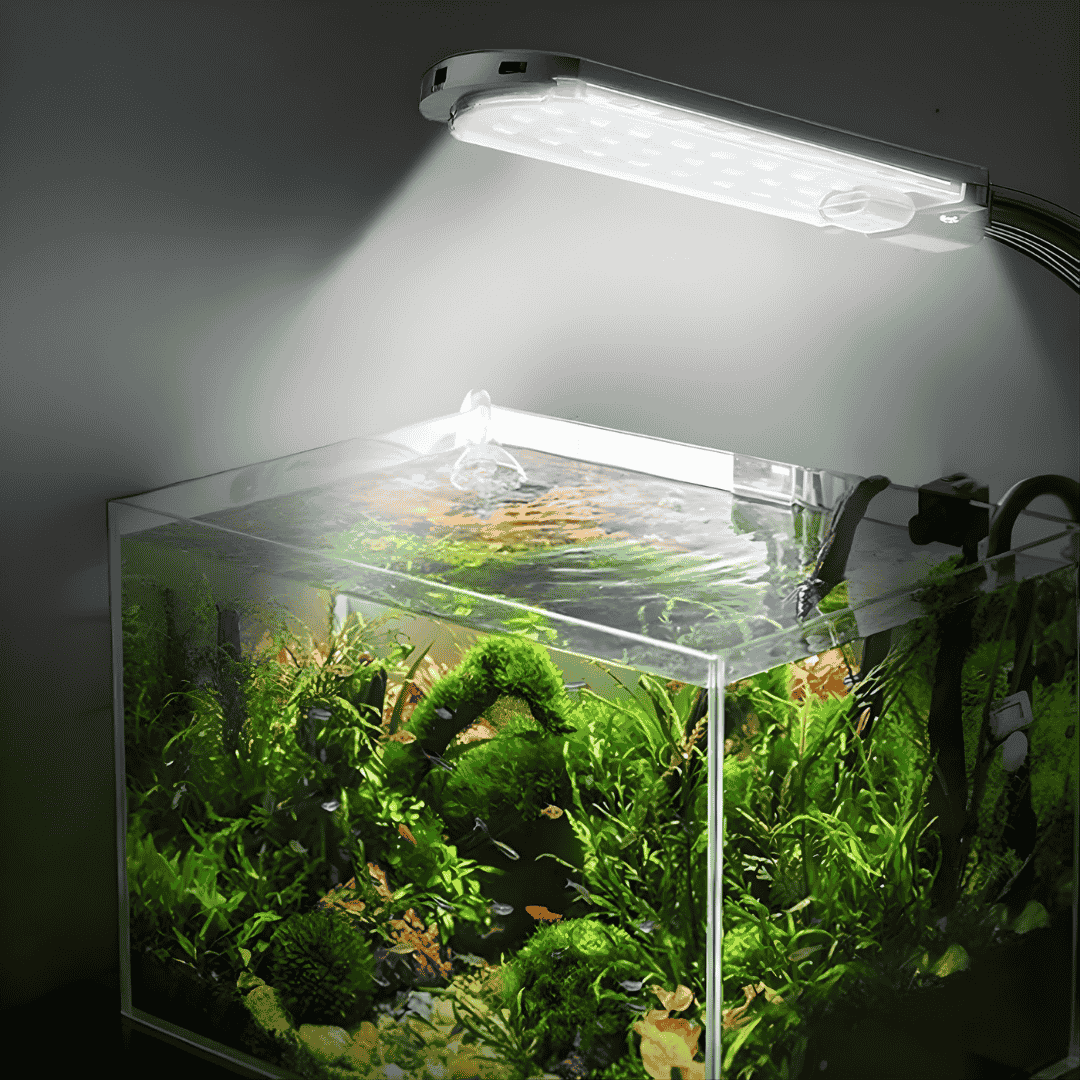 RS Electrical Aquarium LED Clip-on Lamp RS-S500 (Suit For 40–80 cm ...