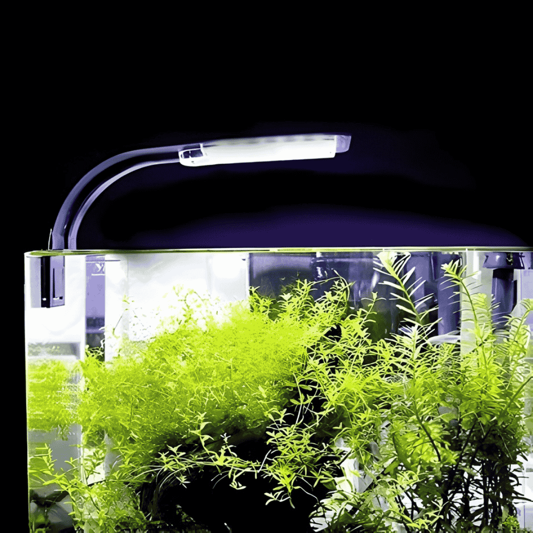 RS Electrical Aquarium LED Clip-on Lamp RS-S400 (Suit For 25–50 cm ...
