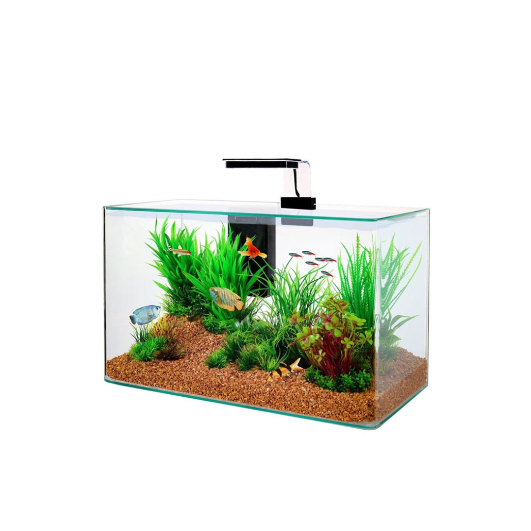 Extra Clear Open Tank (L*W*H = 60*30*35 cm) 8mm – cloningaquapets