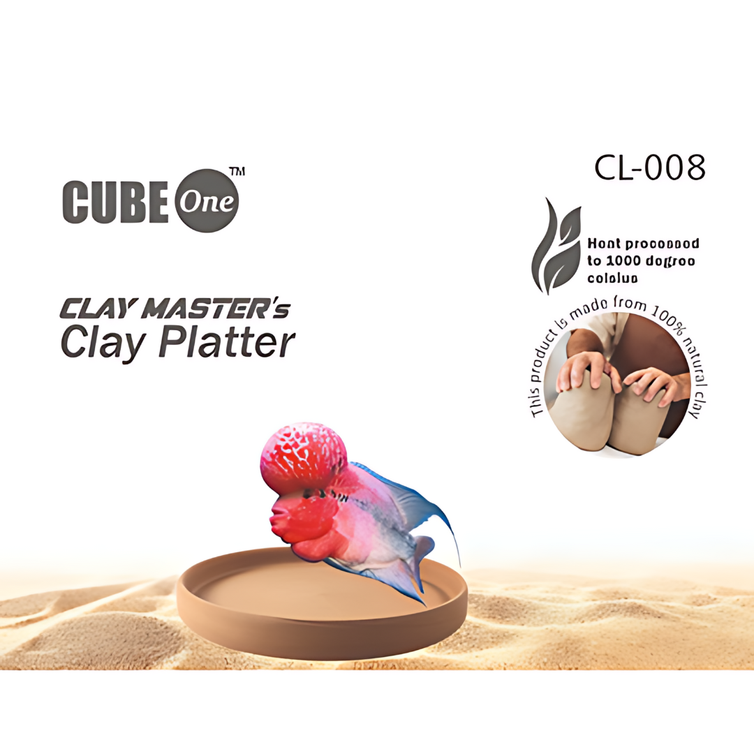 Cube One Clay Master's Clay Breeding Platter Single – cloningaquapets