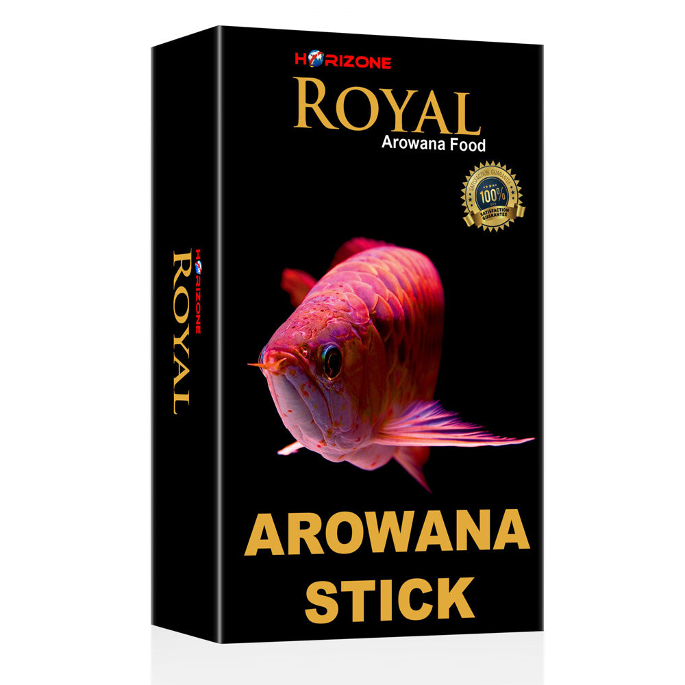 Food Royal Arowna Fish Food 100g – cloningaquapets